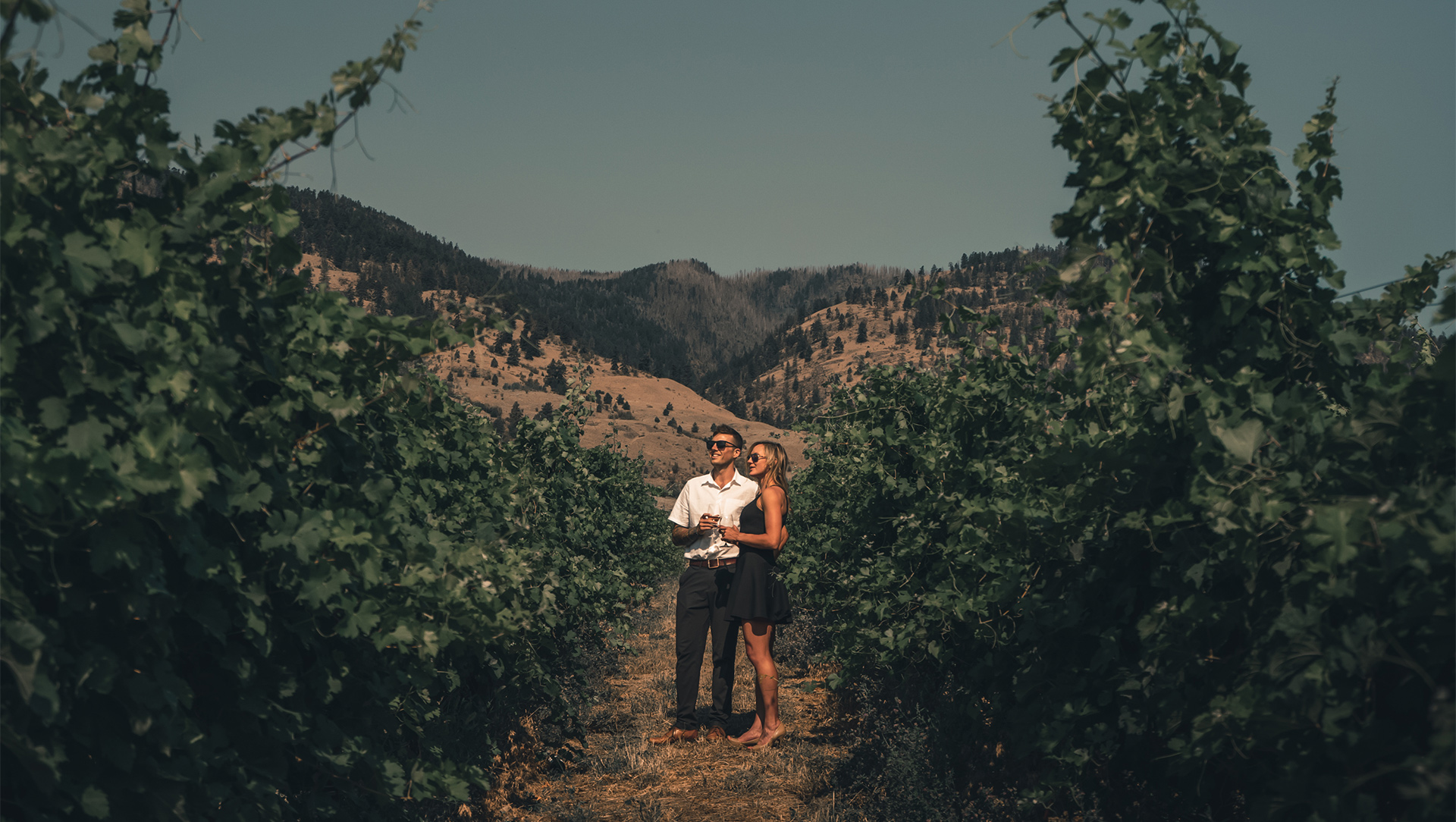 Rainmaker Wines | Oliver, BC | High-Performance Wines